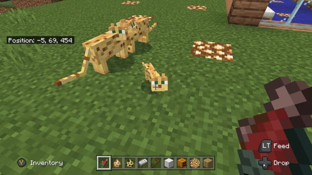 Top 5 uses of ocelots in Minecraft