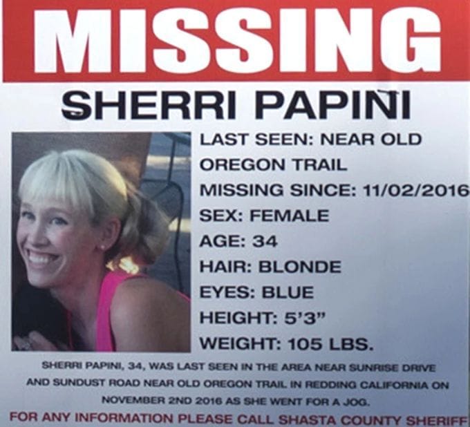 Who is Sherri Papini? Kidnapping controversy explained as California ...