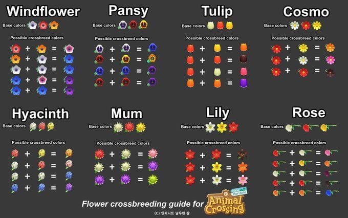 Animal Crossing: New Horizons Flower Breeding guide: Everything you ...