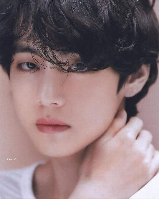 Plastic surgeons praise BTS' V for his symmetrical face and charming ...