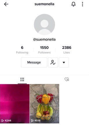 What is Harry Styles' TikTok username? Netizens go berzerk after ...