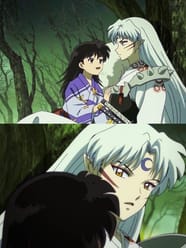 Inuyasha Why Did Sesshomaru Keep Rin Inuyasha Why Did Sesshomaru Keep Rin