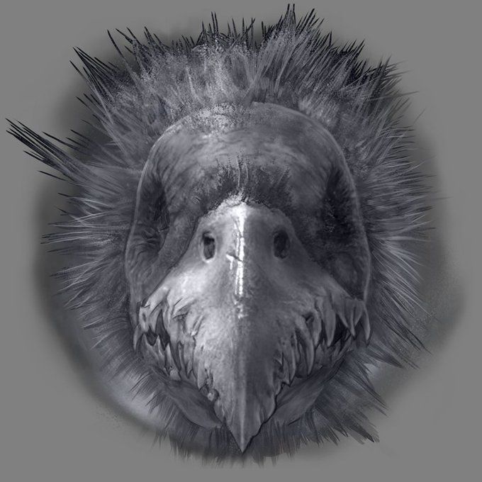 Did Elden Ring have a bestiary or a codex during the early phases of ...