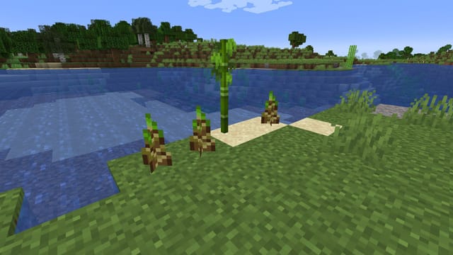 5 things you did not know about bamboo in Minecraft