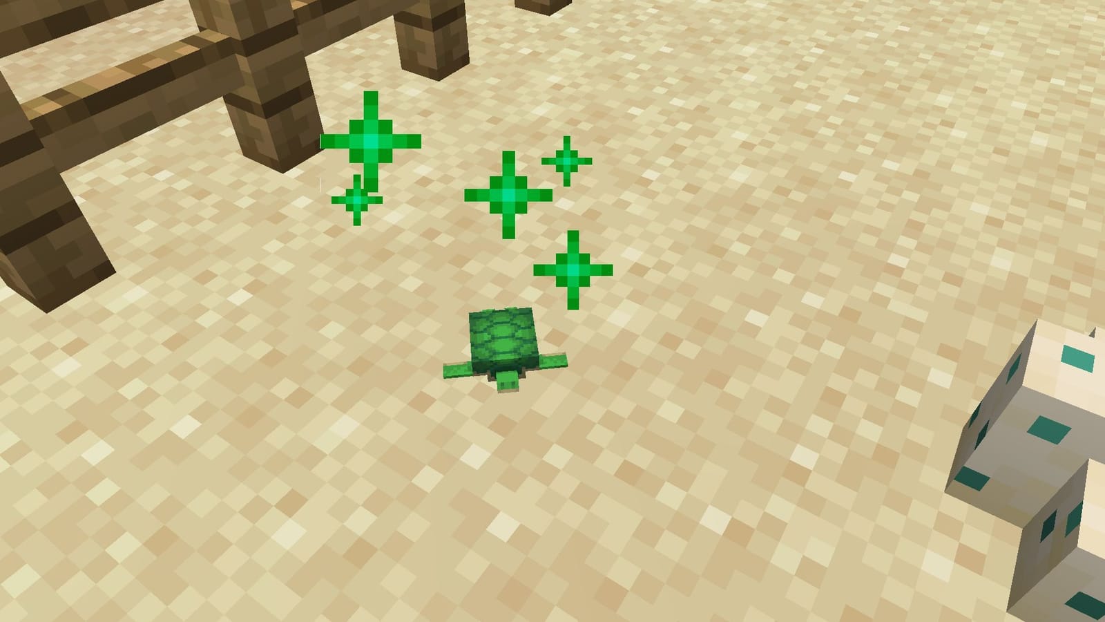 How to get turtle shells in Minecraft 1.18?