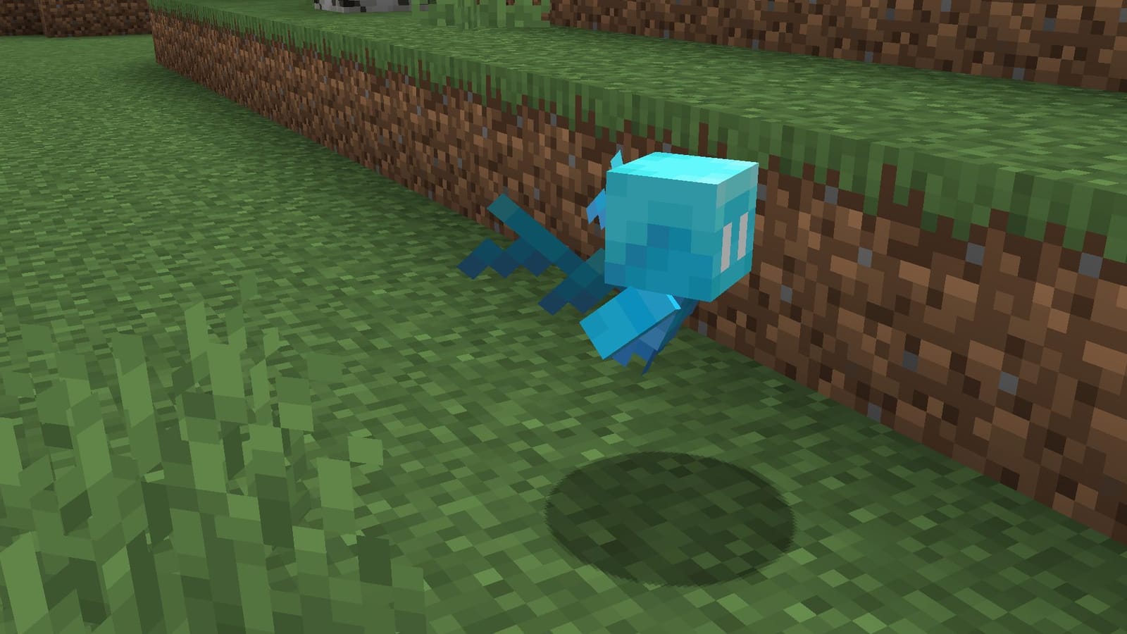 Top 5 facts about Allay mob in Minecraft