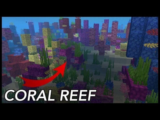 5 best seeds for coral reefs in Minecraft: Pocket Edition