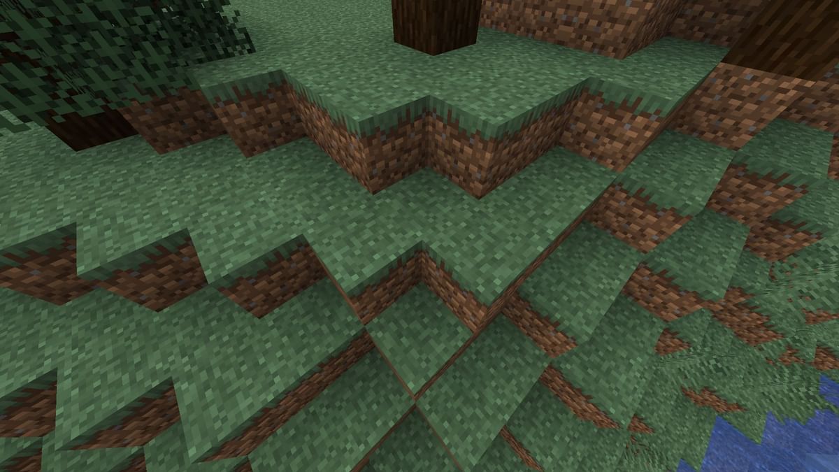 All types of dirt blocks in Minecraft