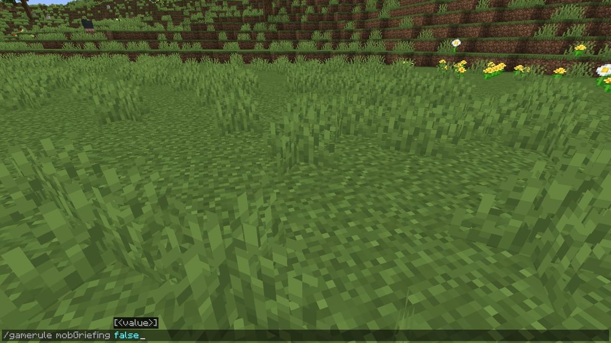Minecraft should mob griefing be disabled?