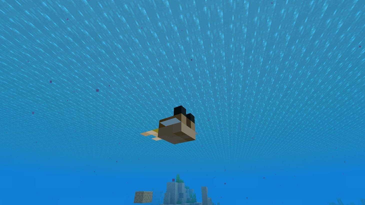 Top 5 passive aquatic mobs in Minecraft