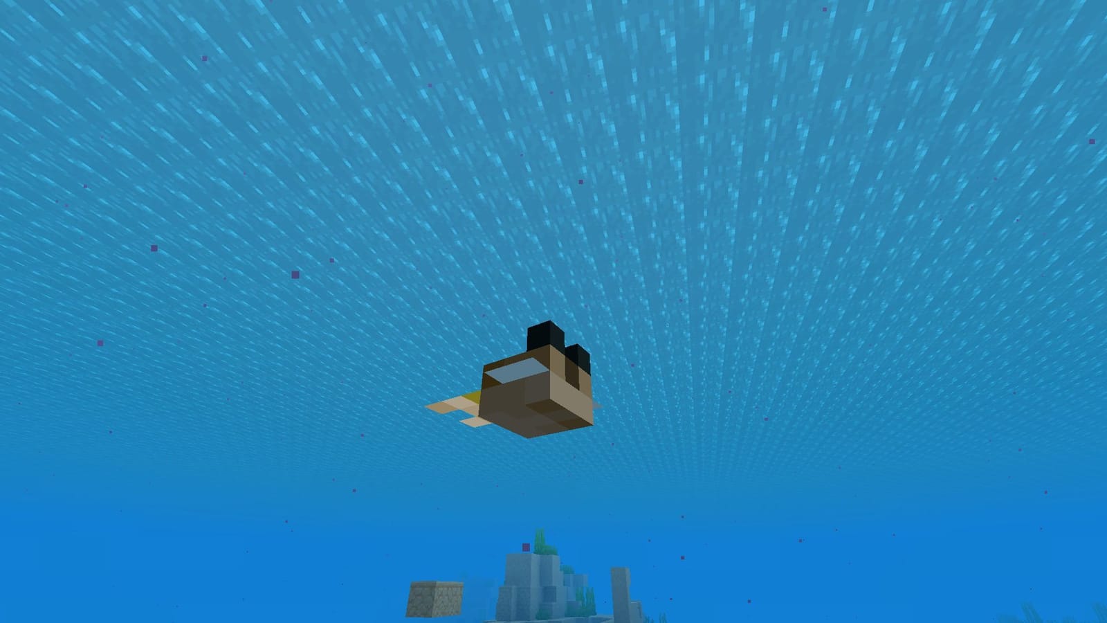 Top 5 passive aquatic mobs in Minecraft