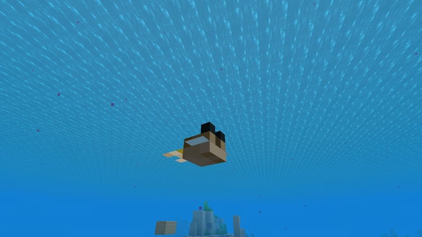 Top 5 passive aquatic mobs in Minecraft