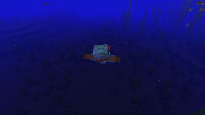 Respiration in Minecraft: 5 things you didn't know