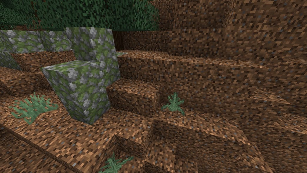 All types of dirt blocks in Minecraft