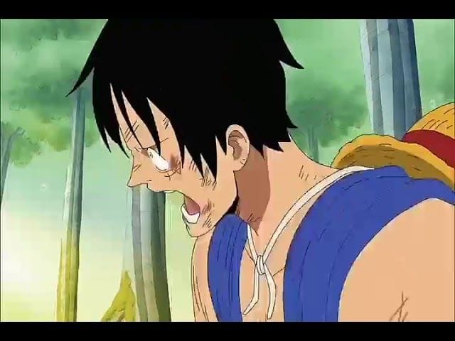 One Piece: 4 times Luffy failed to protect someone (and 4 times he did)