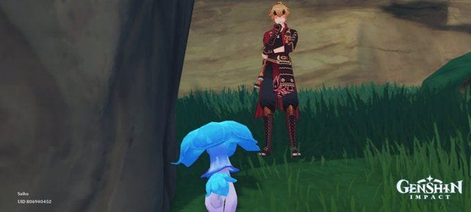 How to prepare 4 photos of Inazuman regional specialties and animals in ...