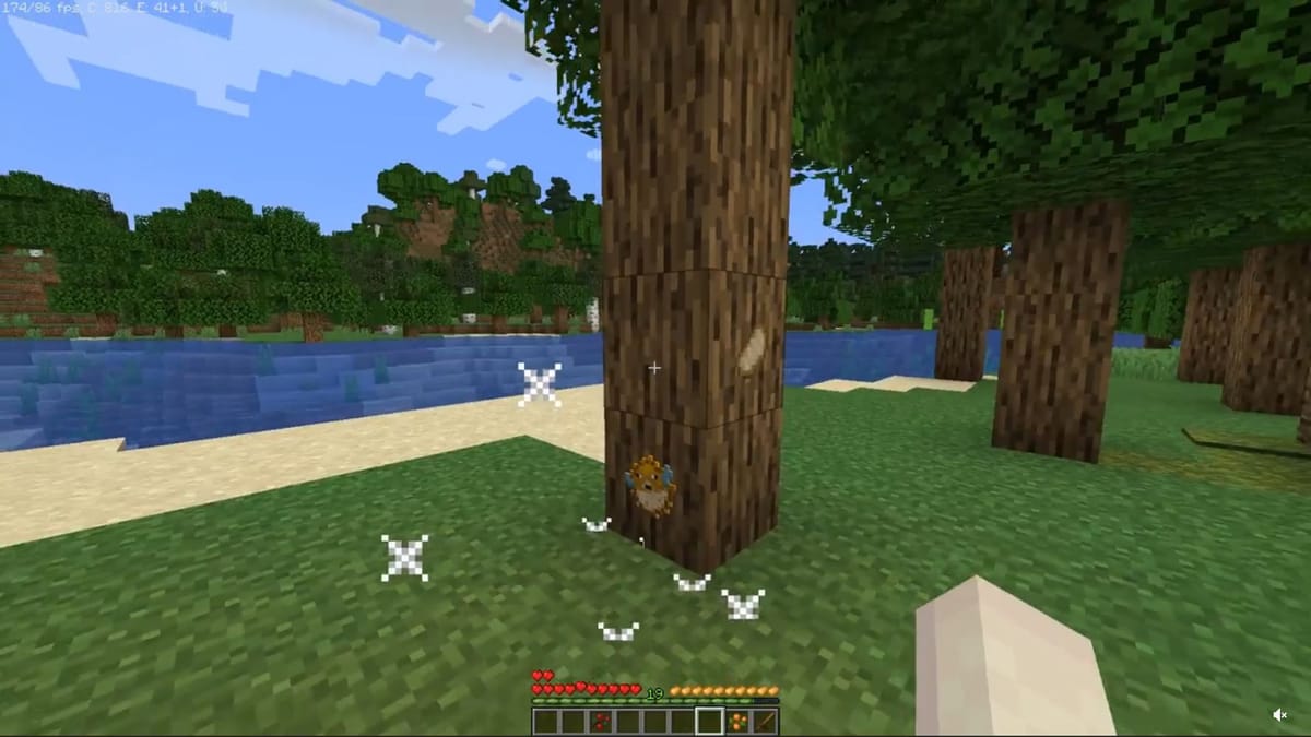 Minecraft Redditor makes a custom glass item frame from a datapack