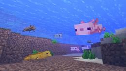 How To Pick Up An Axolotl With A Bucket In Minecraft Ratingperson