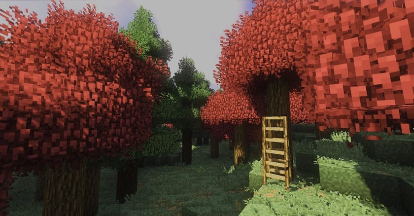 10 best Minecraft mods for 2022