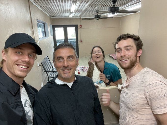 Denis Shapovalov launches Shapo Shelter to raise awareness about animal ...