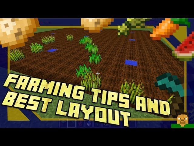How to make an automatic beetroot farm in Minecraft