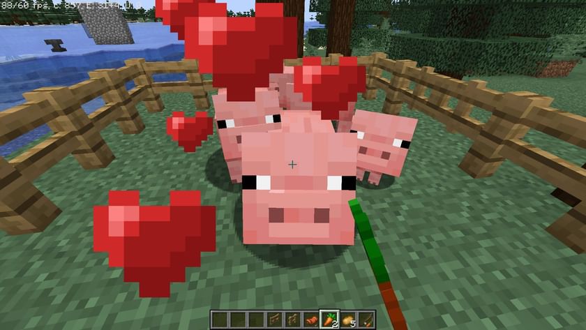 How to tame Pigs in Minecraft