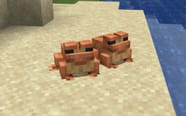 Fact Check Can You Tame Frogs In Minecraft 1 19 Update 
