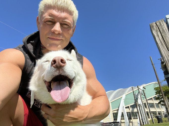Cody Rhodes is now back on the road as a full-time WWE Superstar