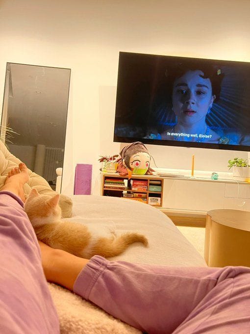 Pokimane talks about how her cat Mimi feels about newest member of her ...