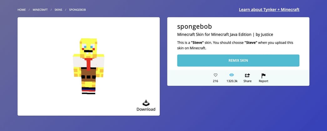 10 best Tynker skins in Minecraft (2022)