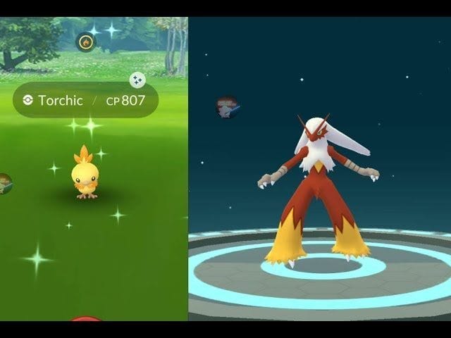 Can Torchic be shiny in Pokemon GO?