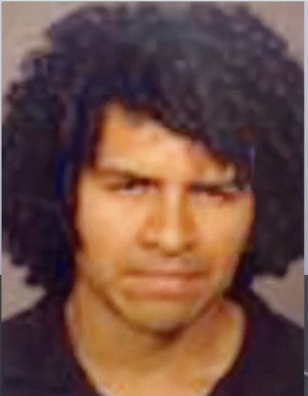 Who is David Bonola? Handyman suspect arrested in murder of Orsolya Gaal