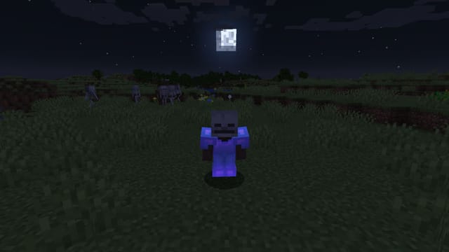 Minecraft purpose of mob heads