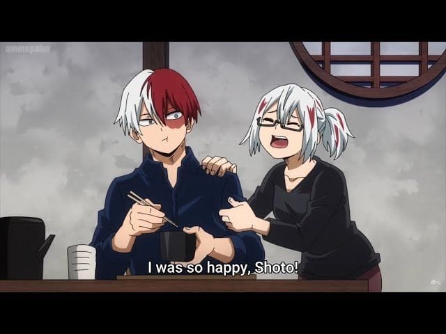 10 families in Shonen Anime, ranked from most to least iconic