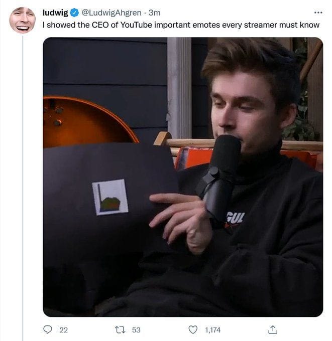 Ludwig explains what different "important emotes" mean to the CEO of ...