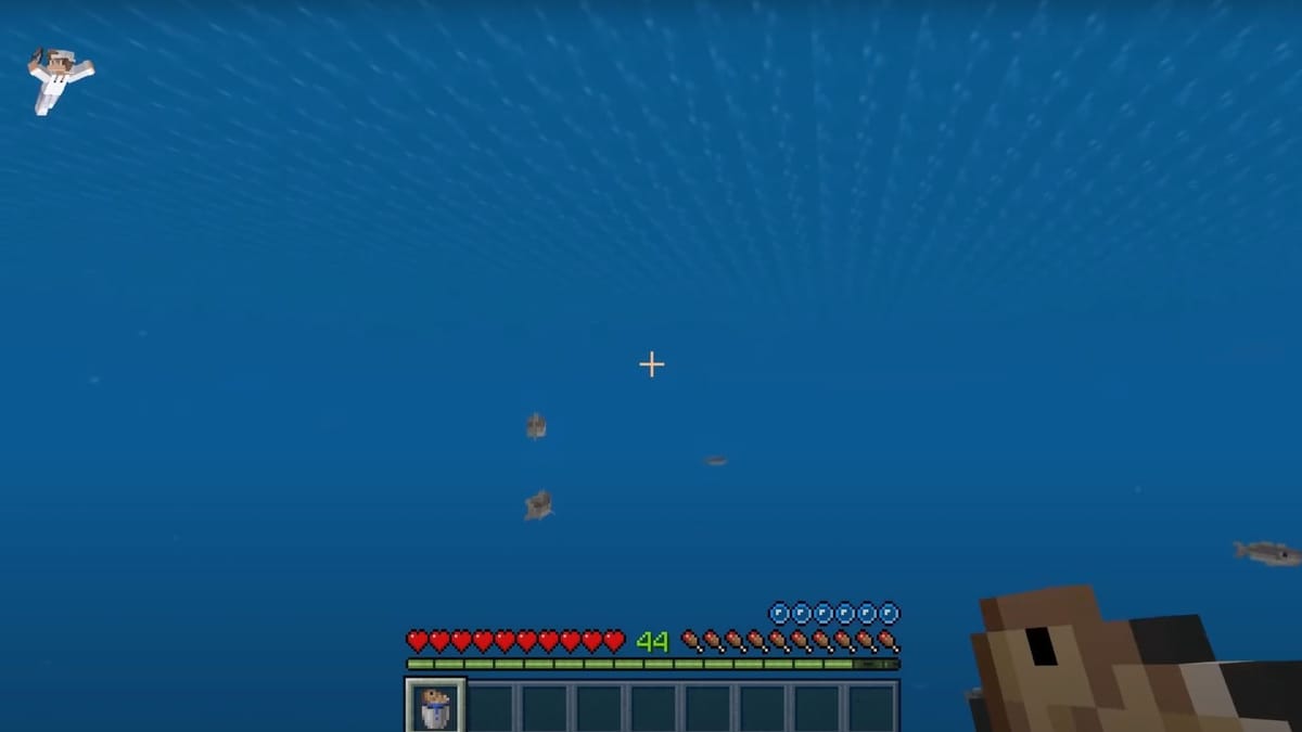 How to make an automatic fish farm in Minecraft (2022)