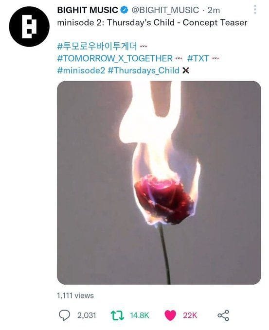 What does the burning rose in TXT’s minisode 2: Thursday’s Child mean ...
