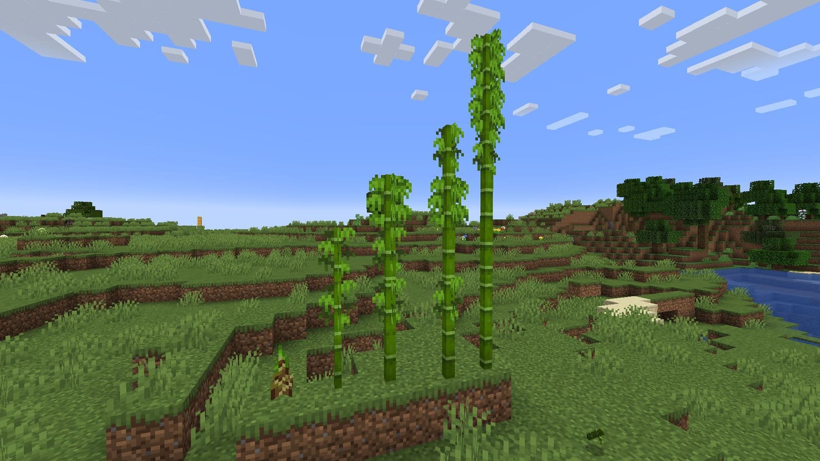 5 things you did not know about bamboo in Minecraft