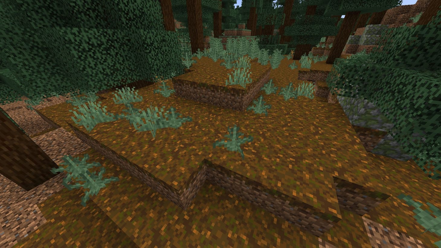 All types of dirt blocks in Minecraft