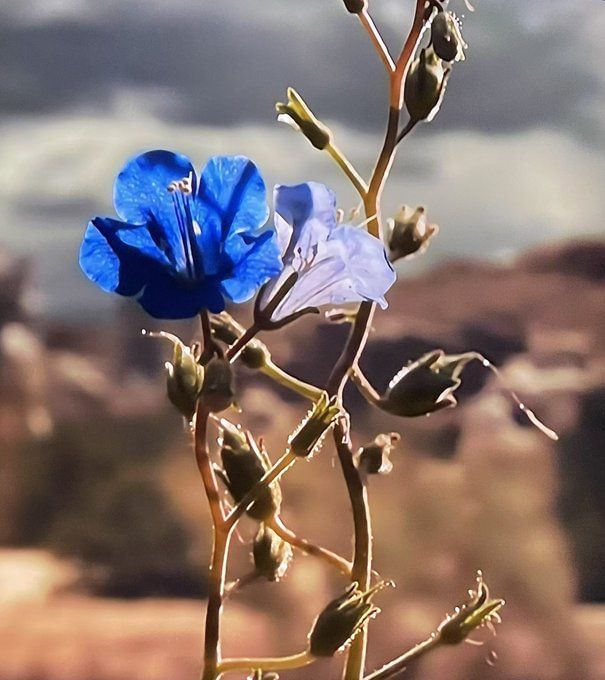 What is your opinion of Nacho Varga? Is he one of the best characters ...