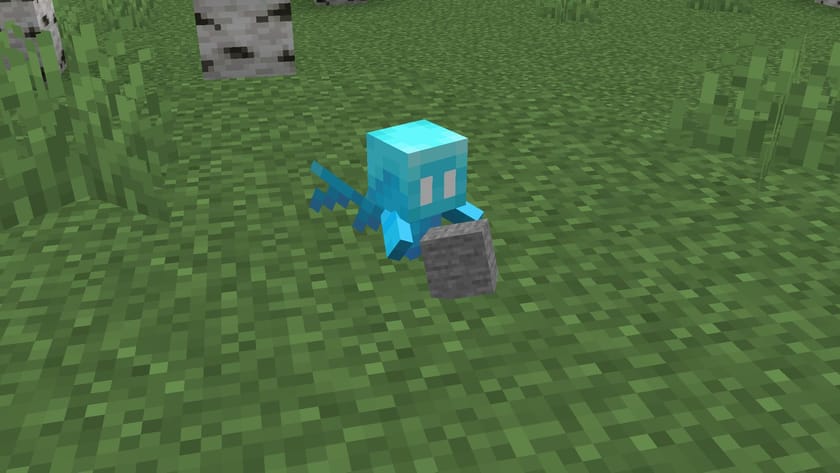 Top 5 facts about Allay mob in Minecraft