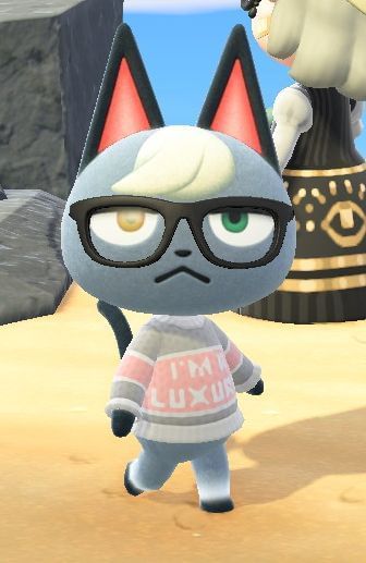 Why does everyone want Raymond in Animal Crossing: New Horizons?