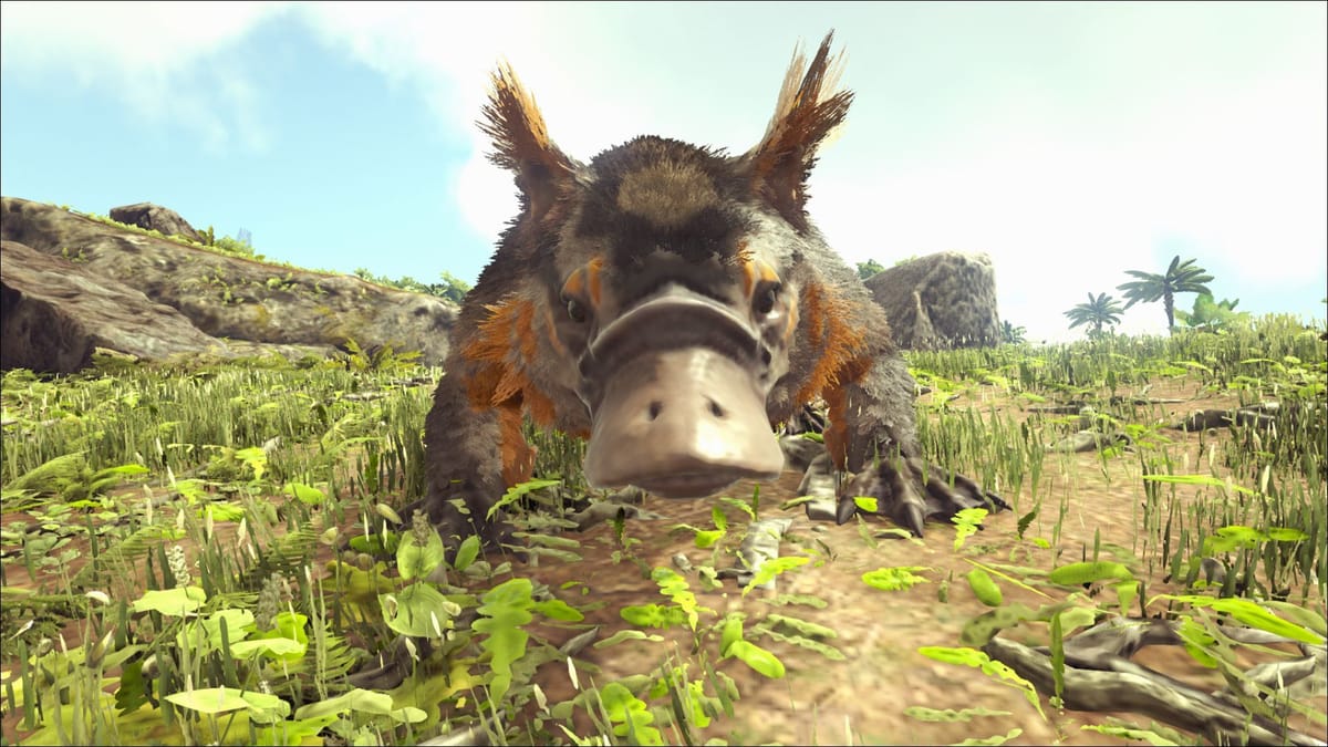 How to tame Maewing in ARK: Lost Island in 2022