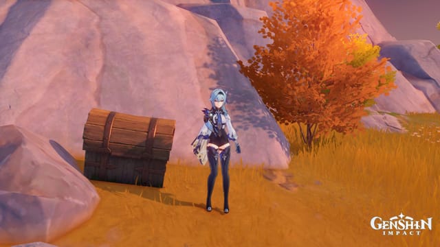 Genshin Impact: All Unique Rock puzzle locations in The Chasm surface