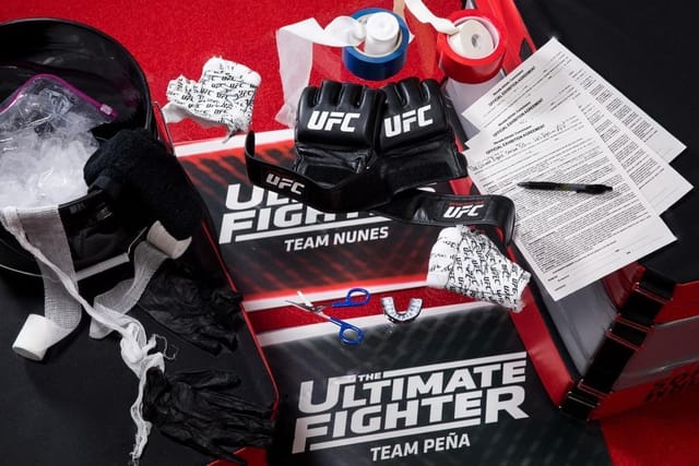 Where to watch The Ultimate Fighter Season 30?