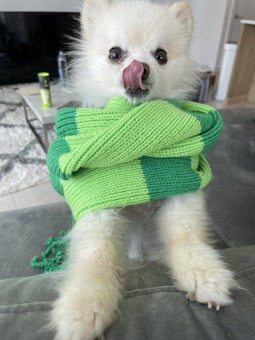 Sykkuno officially launches his new merch as Valkyrae, Corpse Husband ...