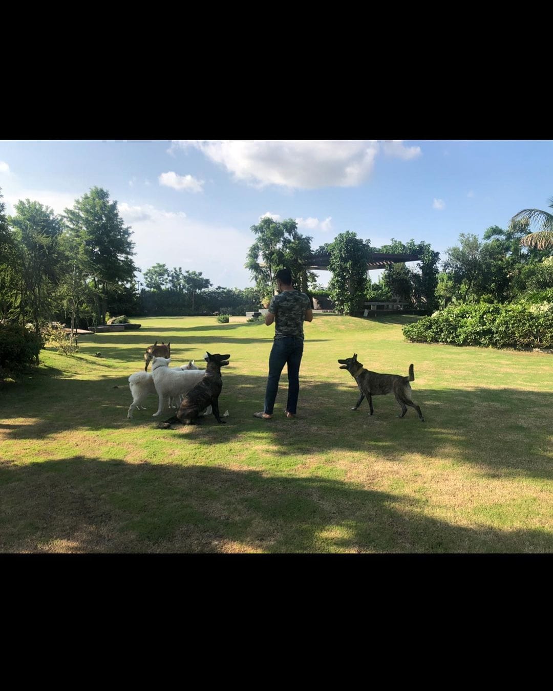 MS Dhoni's House- MS Dhoni Residence, Address & House Photos