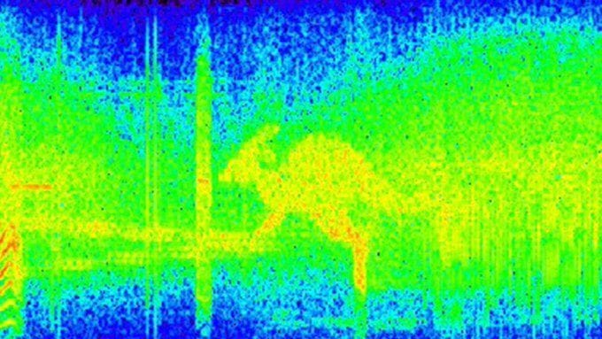 Epic Games is working on rideable wolves for Fortnite