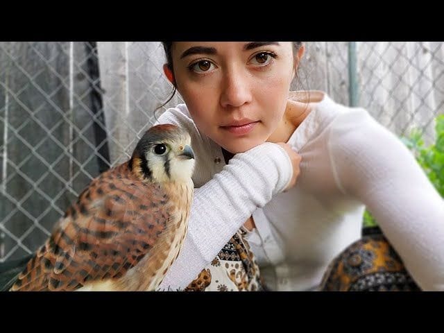 Top 5 best streamer-pet duos on the internet today