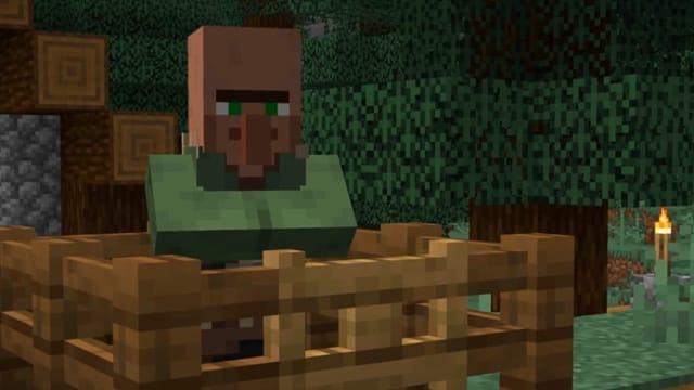 How to develop your village in Minecraft